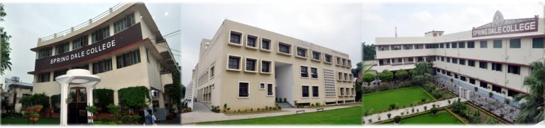 About Us – Spring Dale College